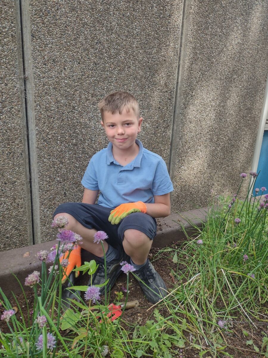 Home - Redgate Primary Academy